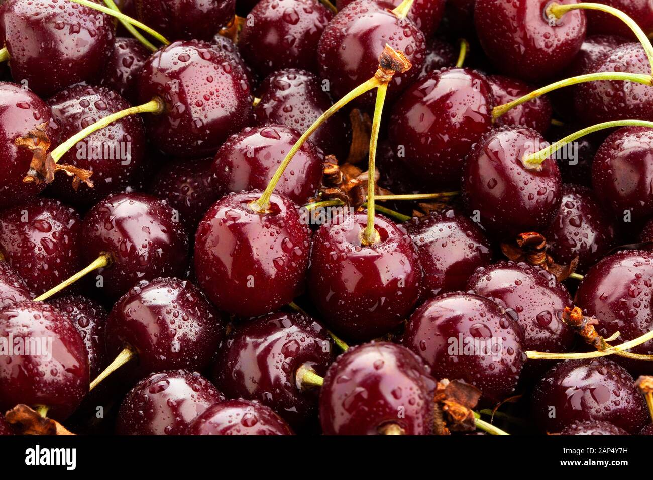 Dark red cherry hi-res stock photography and images - Alamy