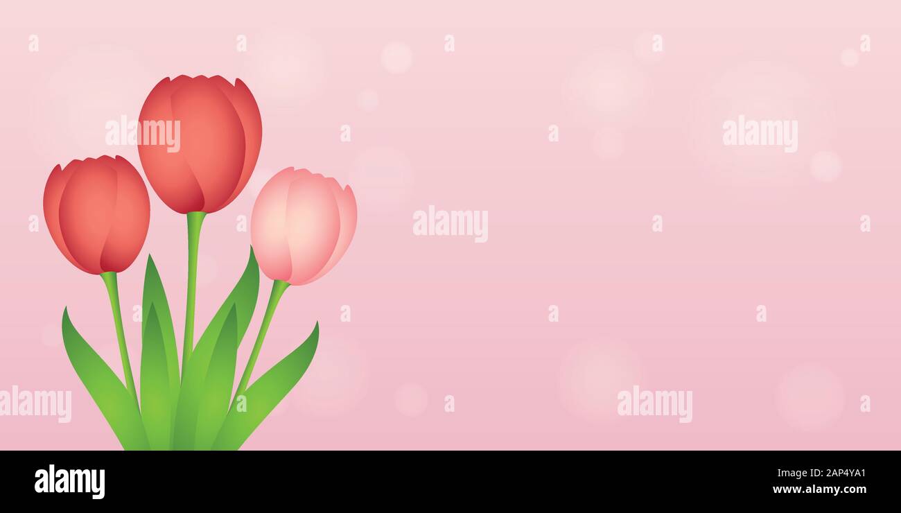 bright pink card with pink tulips spring background vector illustration ...