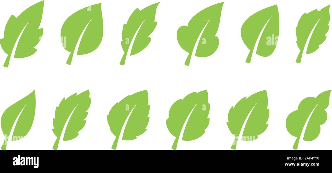 Green leaf set Stock Vector Image & Art - Alamy