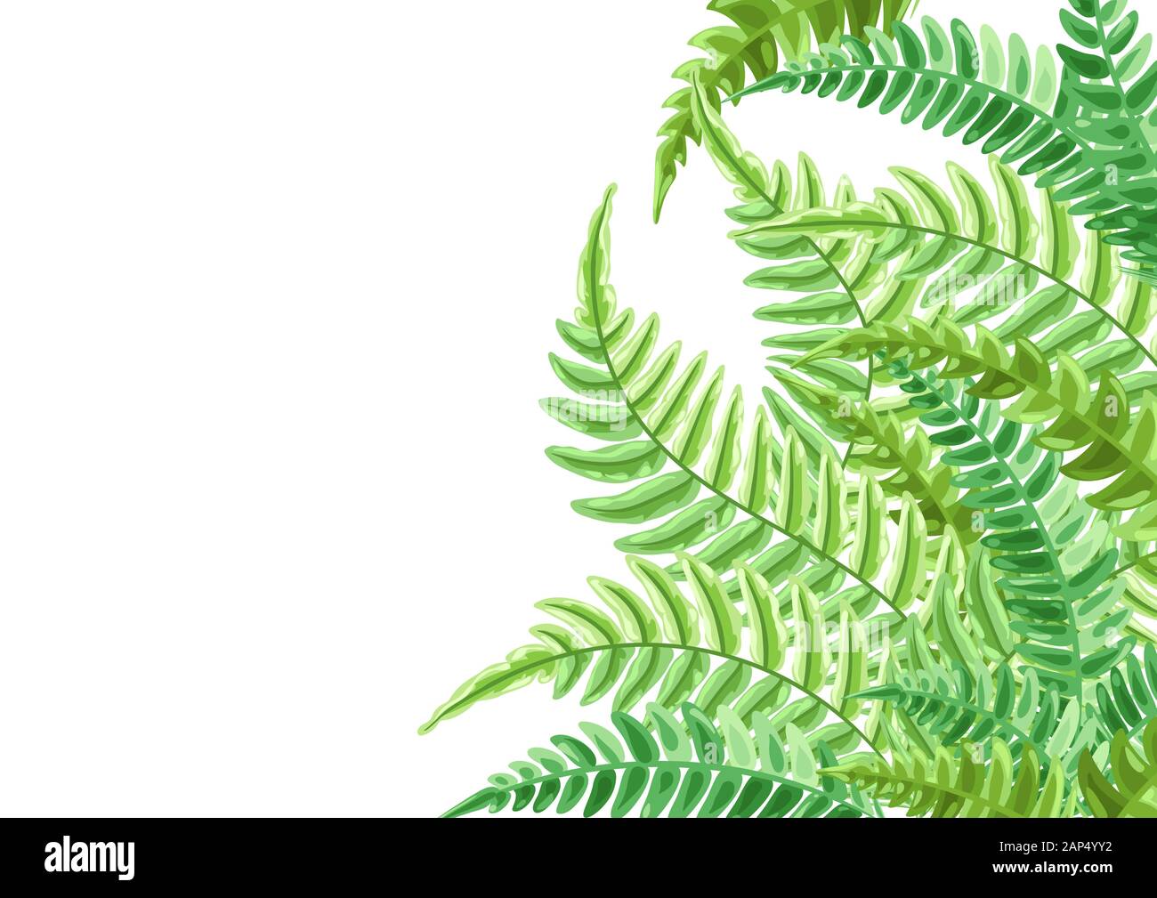 Background with fern leaves Stock Vector Image & Art - Alamy