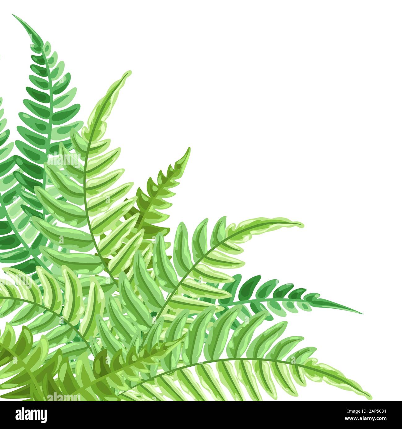 Equatorial botanic Stock Vector Images - Alamy