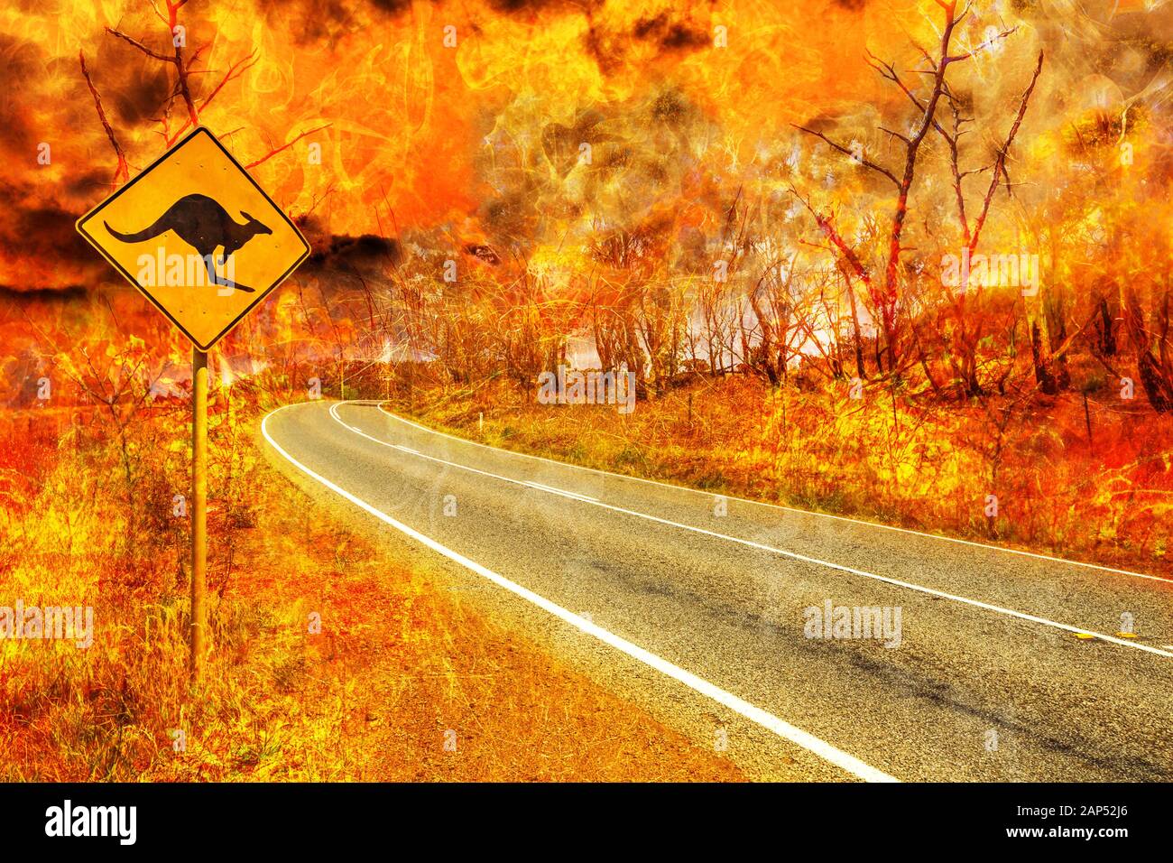 Bushfires in Australia. Warning kangaroo crossing sign on country road ...