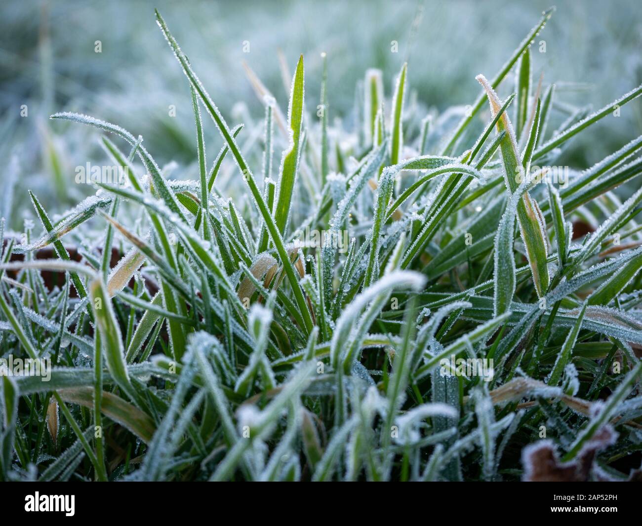 Brisk chill hi-res stock photography and images - Alamy