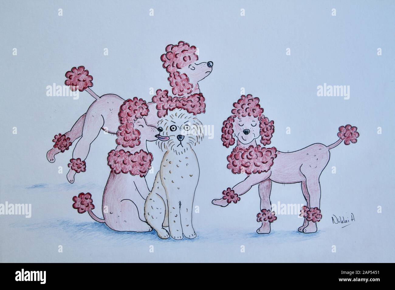 Illustration/cartoon of three cute pink poodles strutting their stuff ...