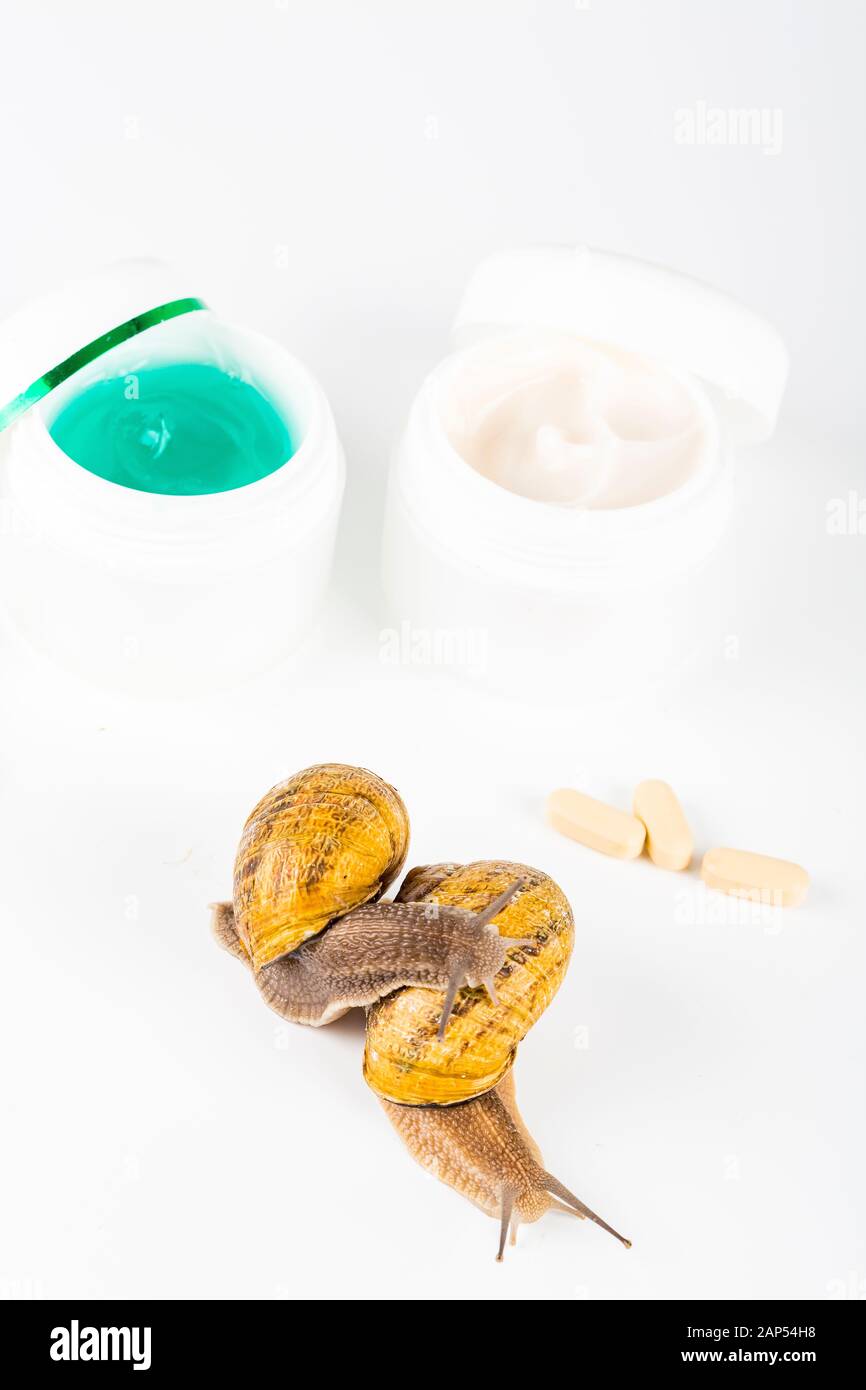 Beauty concept made snail hi-res stock photography and images - Alamy