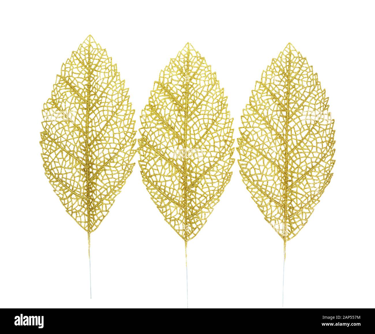 Gold branch of leaves on white Stock Photo - Alamy