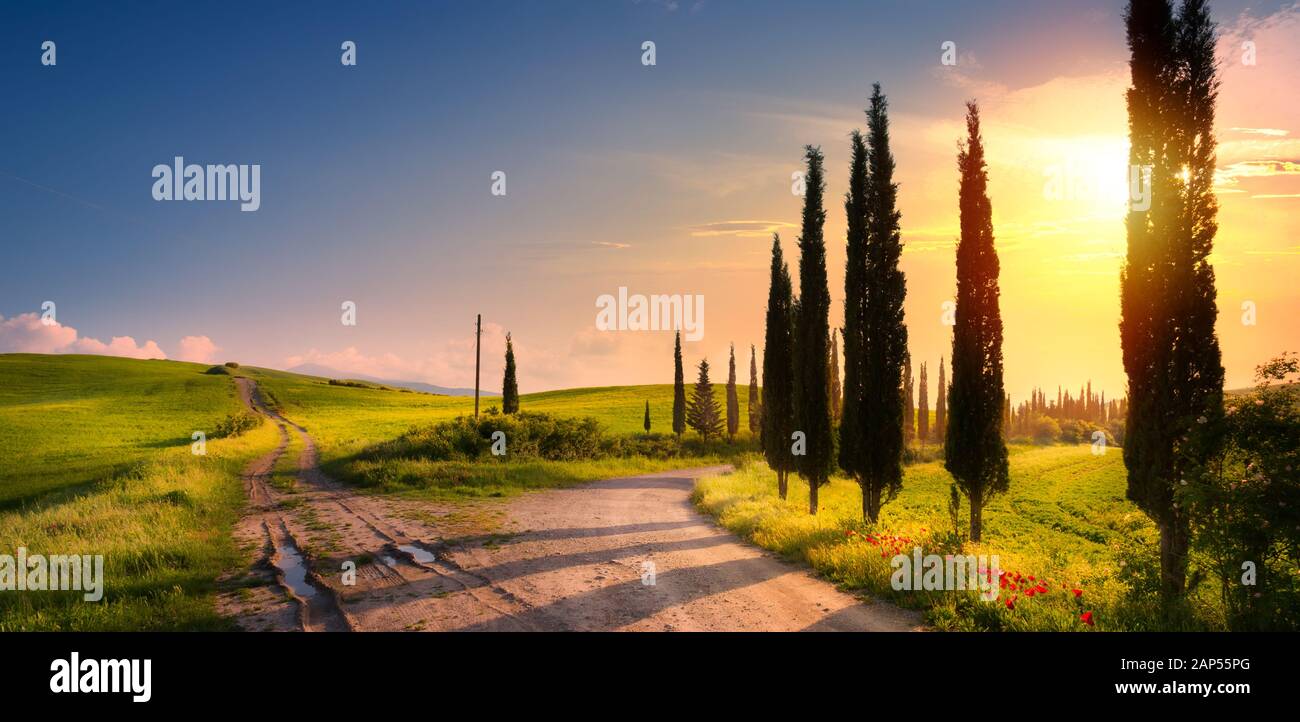 spring countryside landscape with beautiful farmland and dirt road over ...