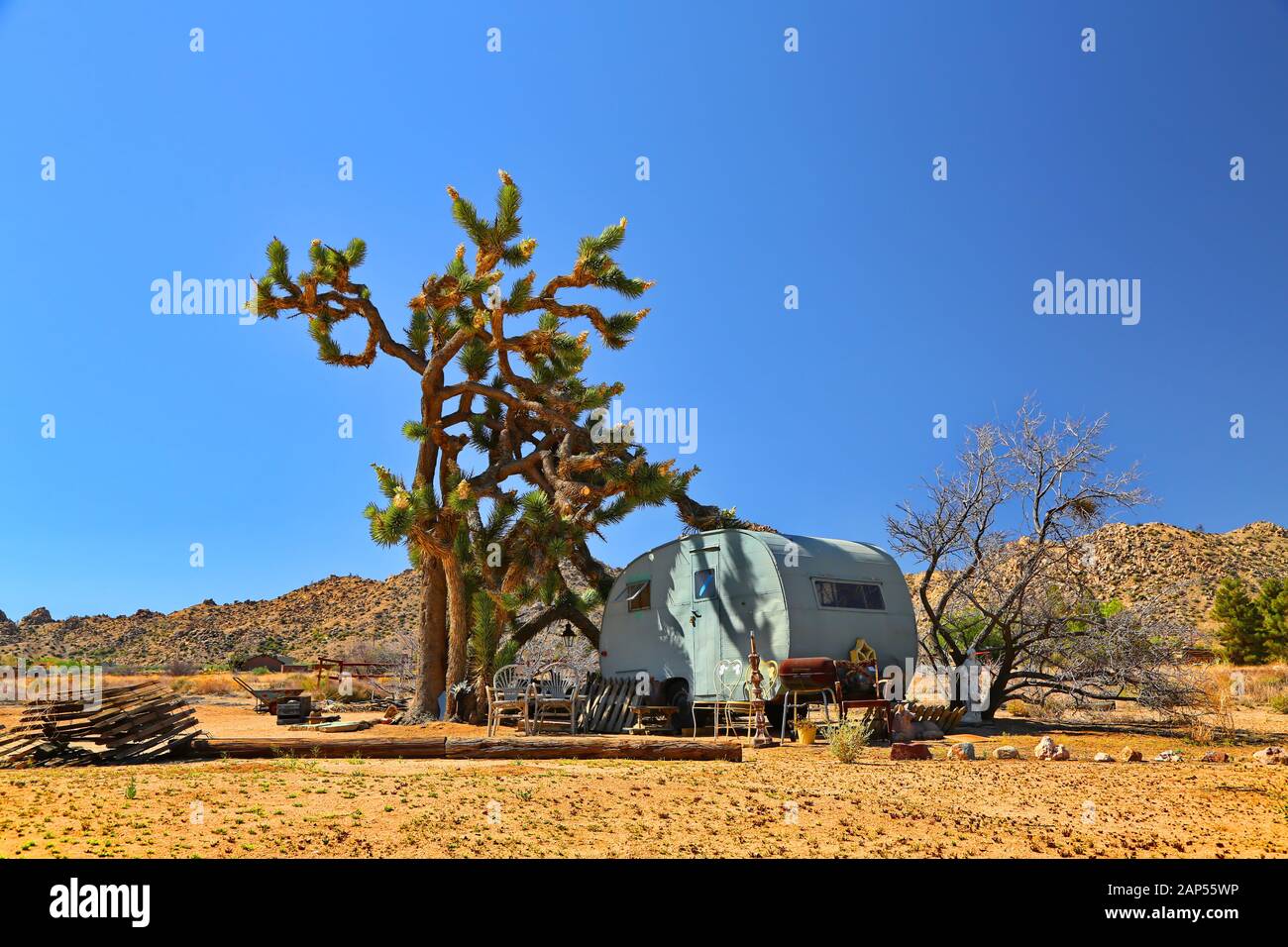 Native american tree worship hi-res stock photography and images - Alamy