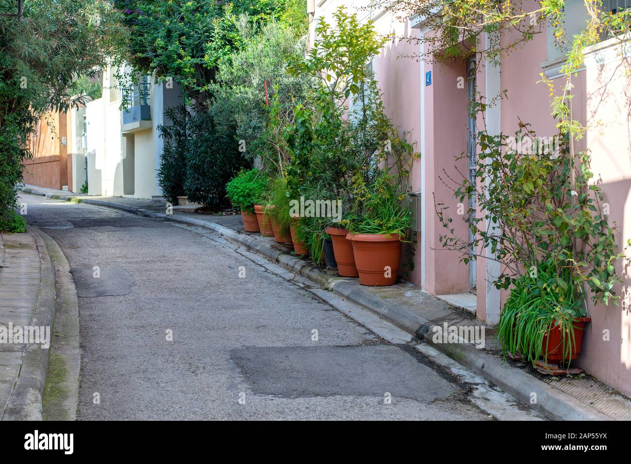 Narrow alley in Plaka Athens old town district. Sidewalk with plants ...