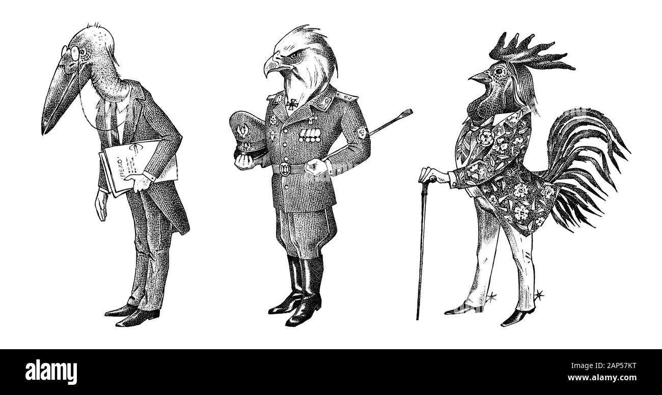 Bird man, eagle and marabou head in military uniform. Dressed Rooster ...
