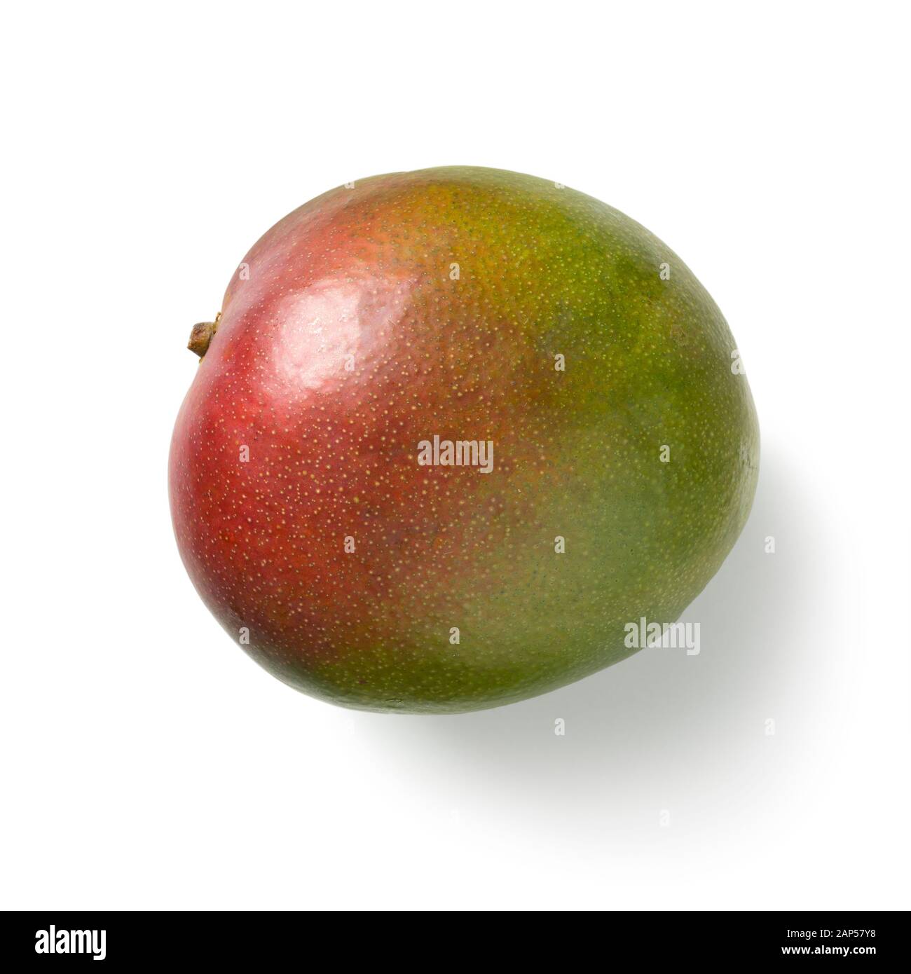 Single fresh whole mango isolated on white background Stock Photo - Alamy
