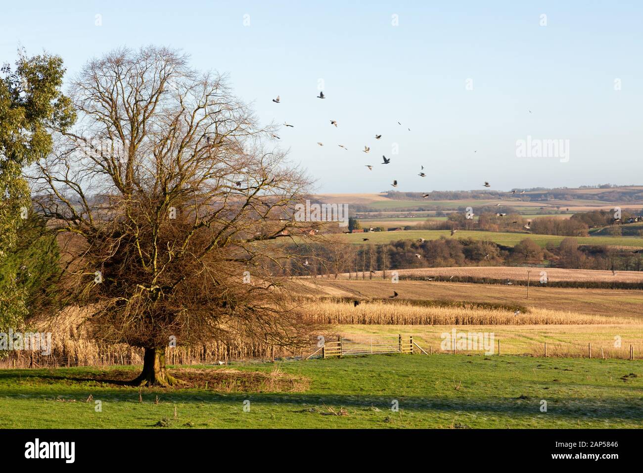 Lincolnshire landscape hi-res stock photography and images - Alamy