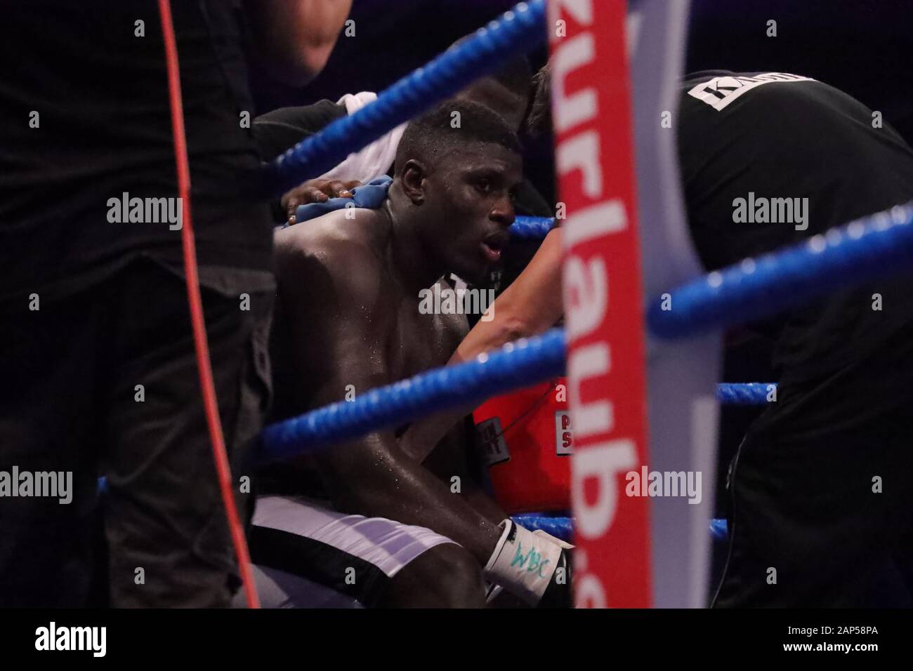 Boxkampf Peter Kadiru gegen Tomas Salek WBC Youth Championship in der Edel-Optics.de-Arena in ...