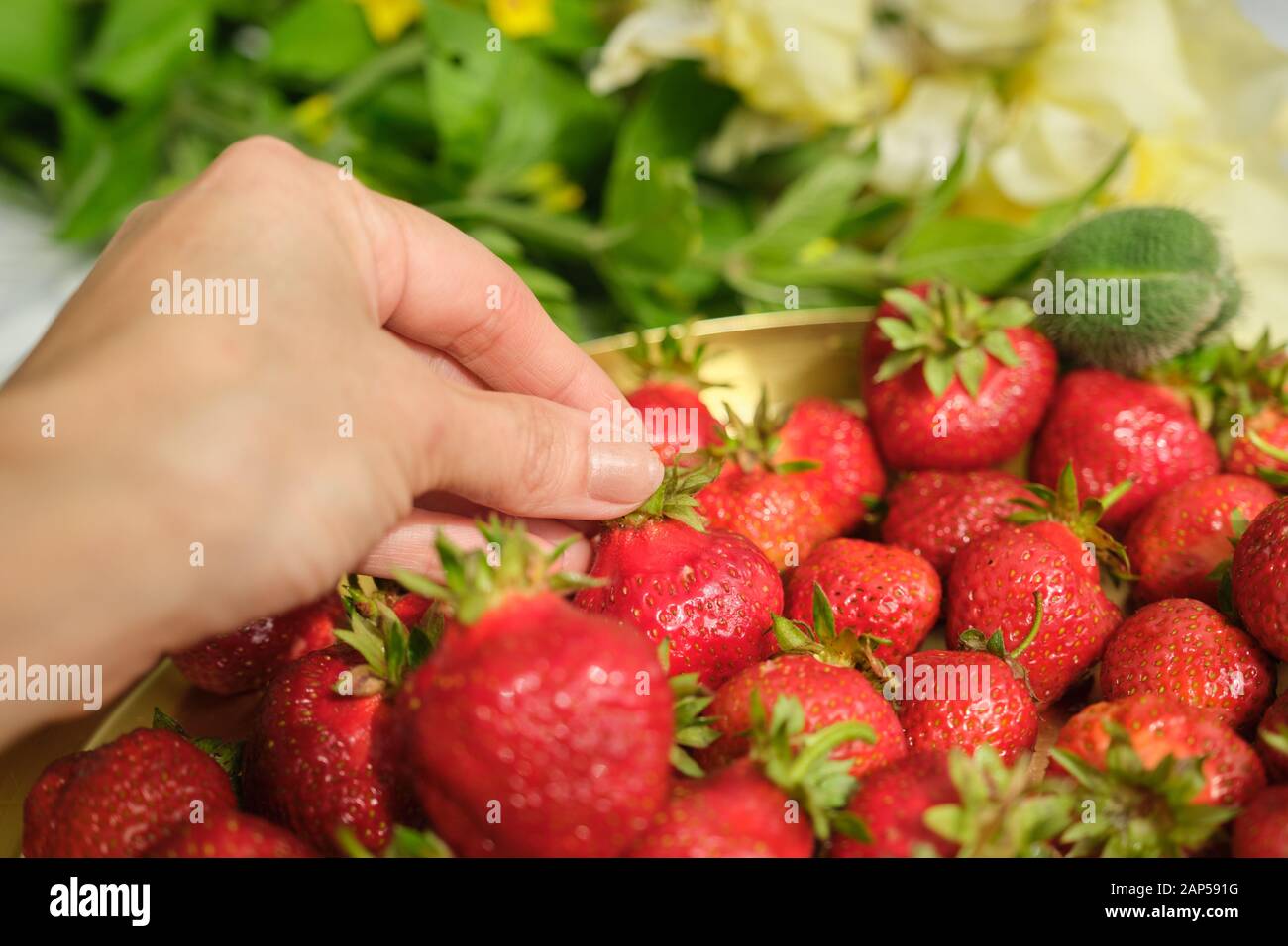 Eco-friendly organic grown without chemical processing ripe washed ...