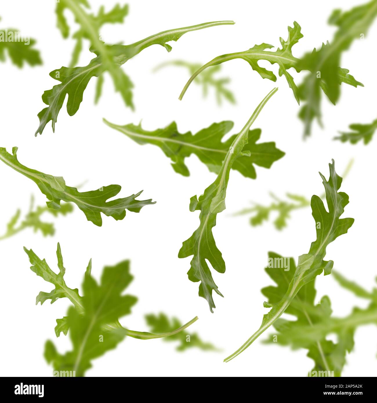 Flying rucola leaves isolated on white background Stock Photo - Alamy