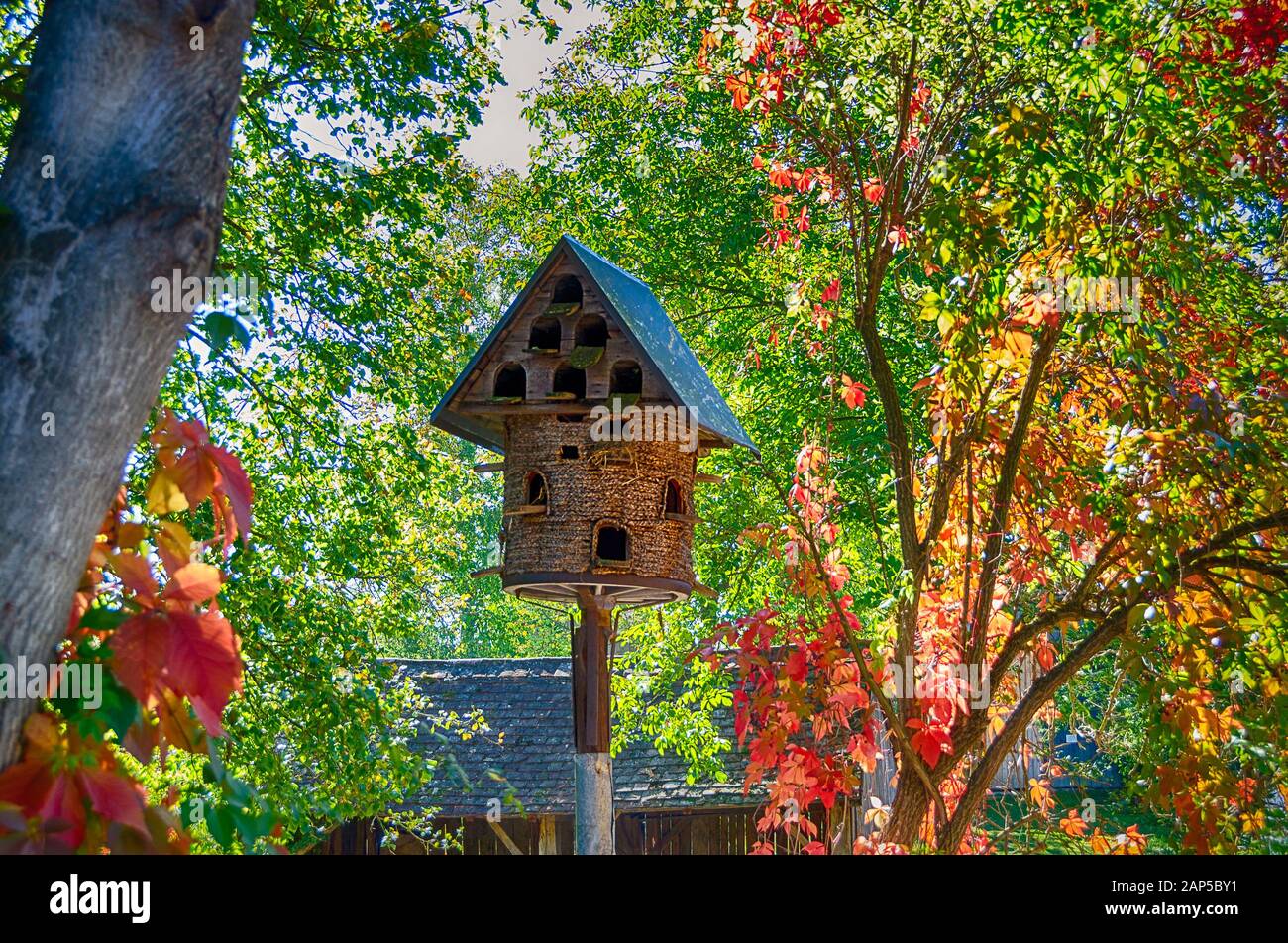 Pigeon loft hi-res stock photography and images - Alamy