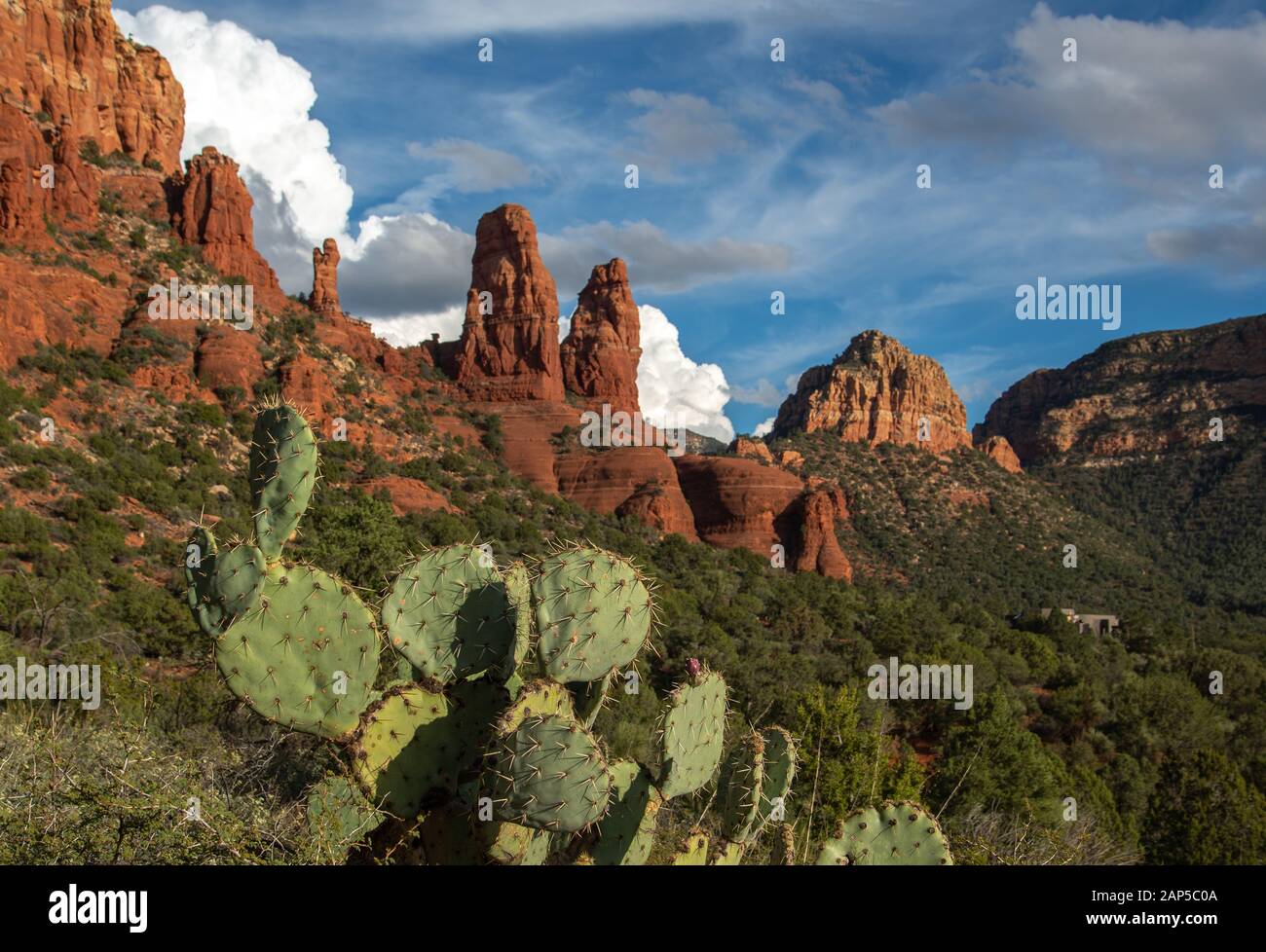Sedona red rocks landscape Stock Photo - Alamy