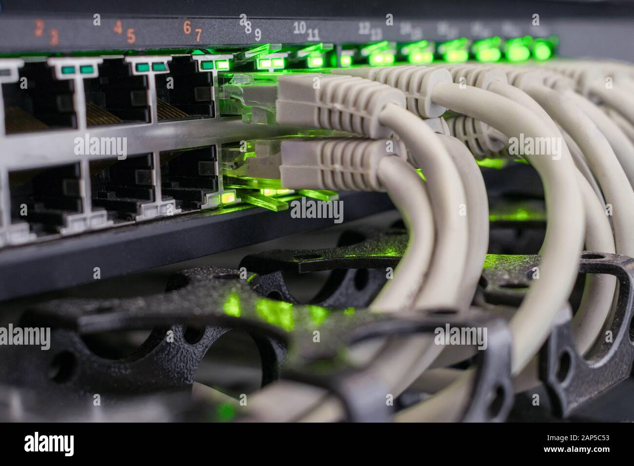 Network wires are included in the ports of the central router. Many ...