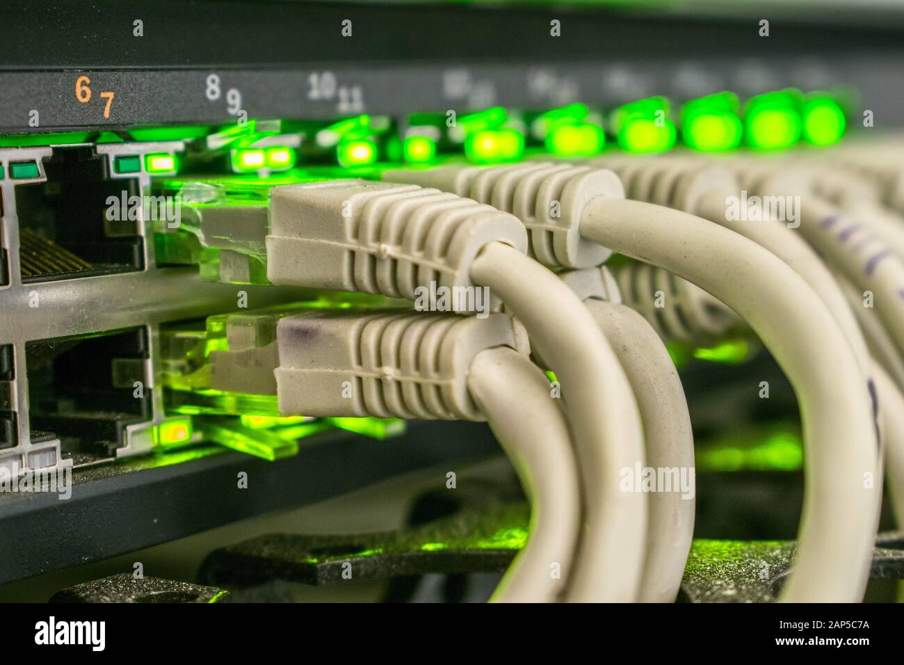 Bunch of patchcords are connected to a managed switch. Network wires ...