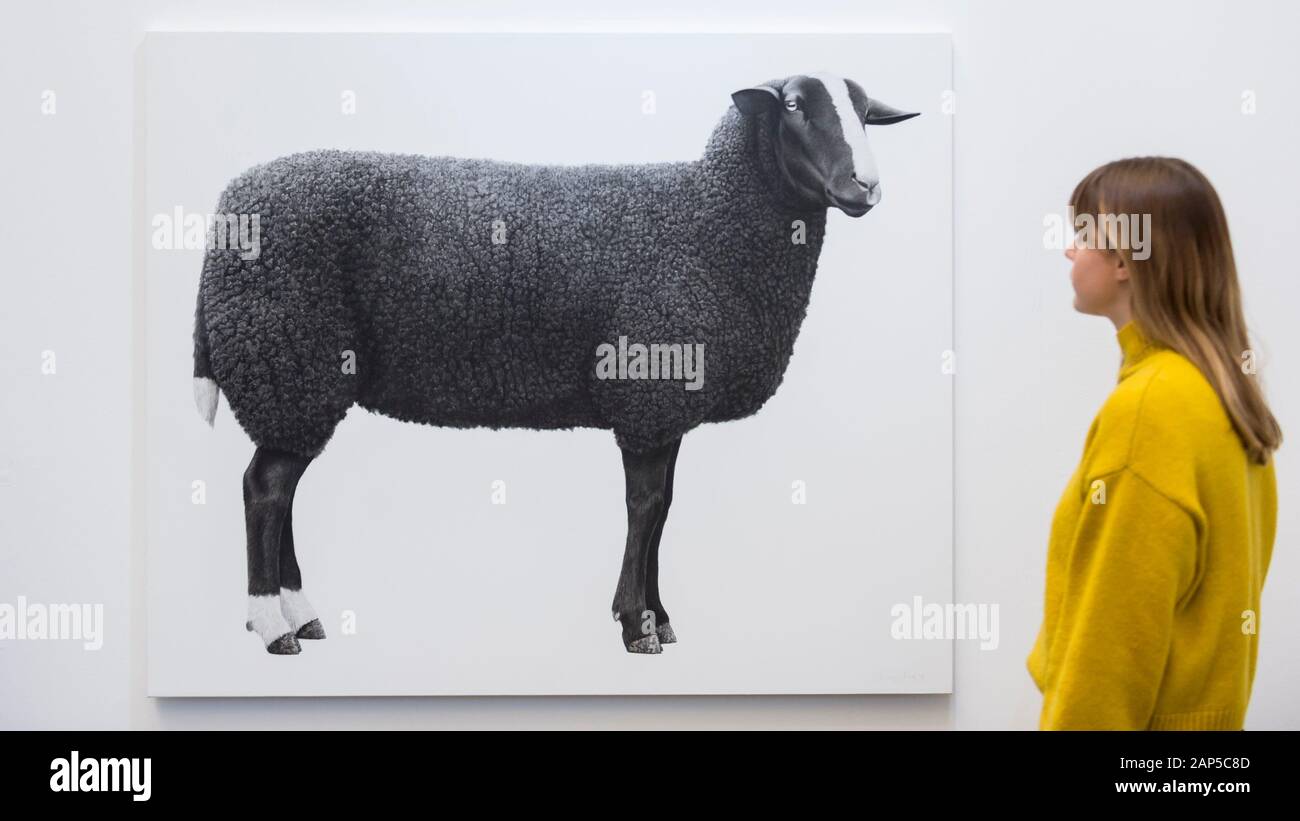 John delafield hi-res stock photography and images - Alamy