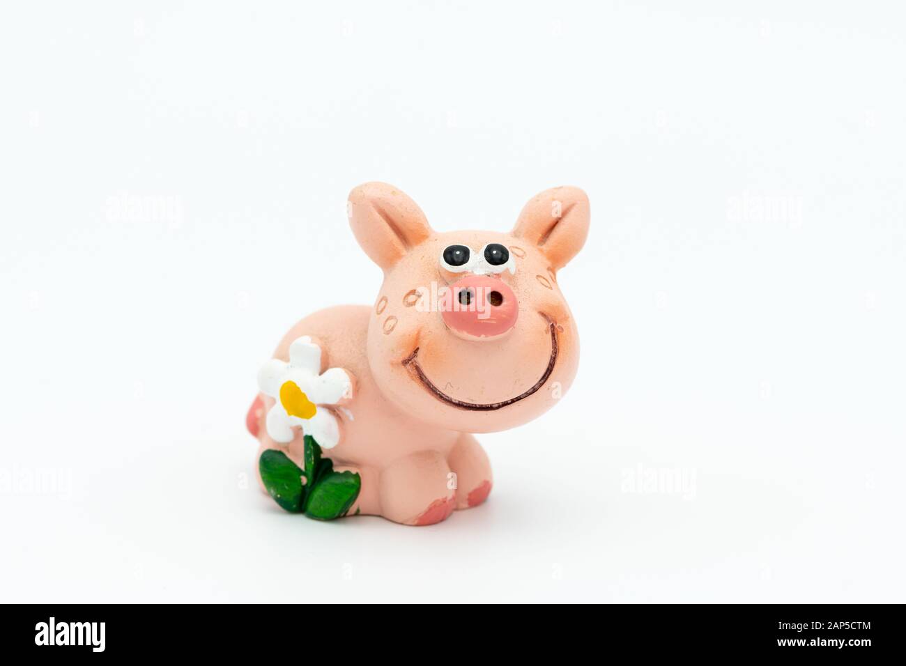 Figurine of a small piggy with a white flower, white background Stock ...