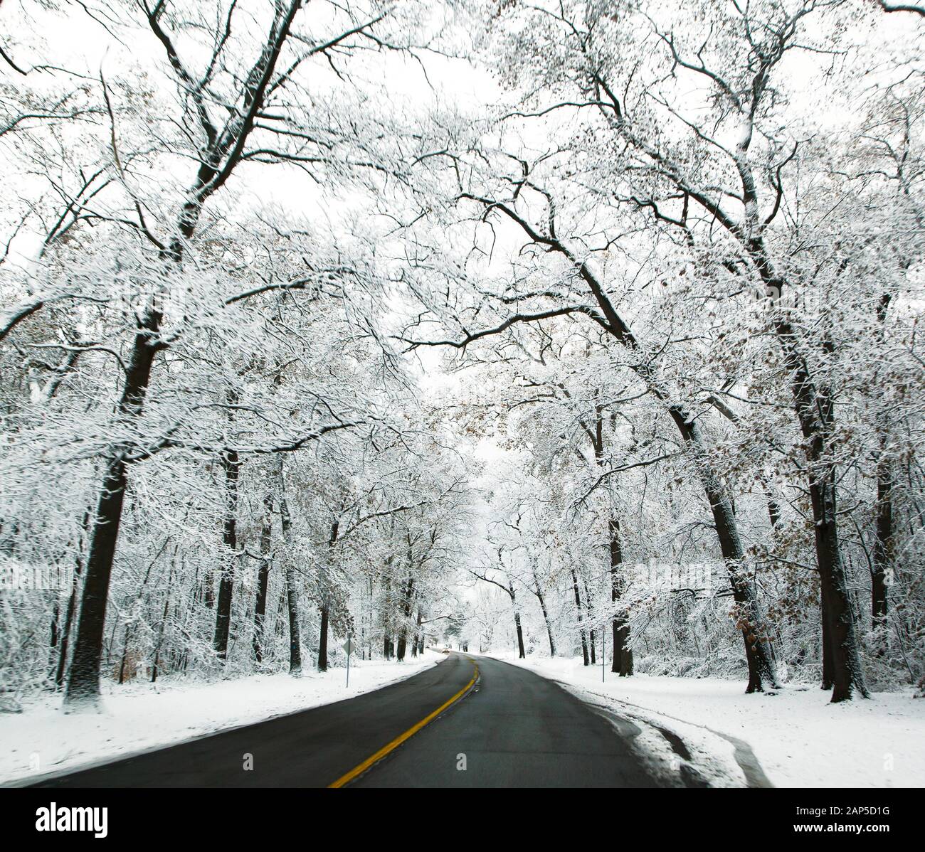 Beautiful Snowy Road