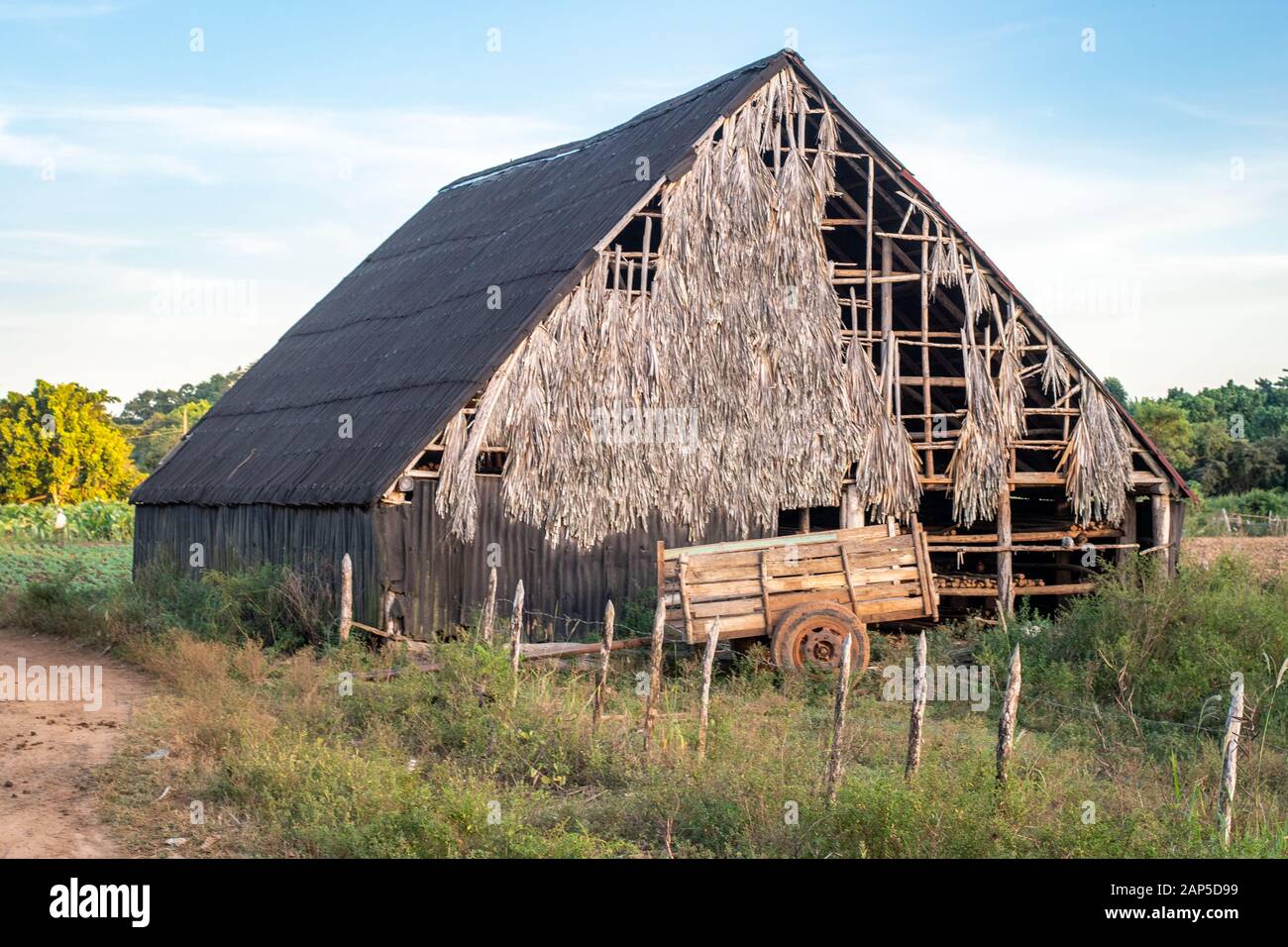 An old barn sitting on a Cuban farm , Vinales, Cuba Stock Photo - Alamy