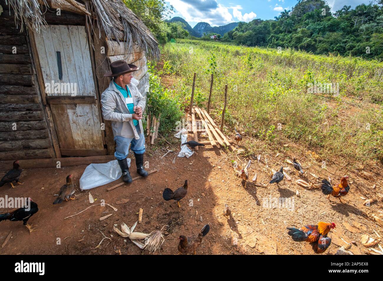 People Working Hard Farming