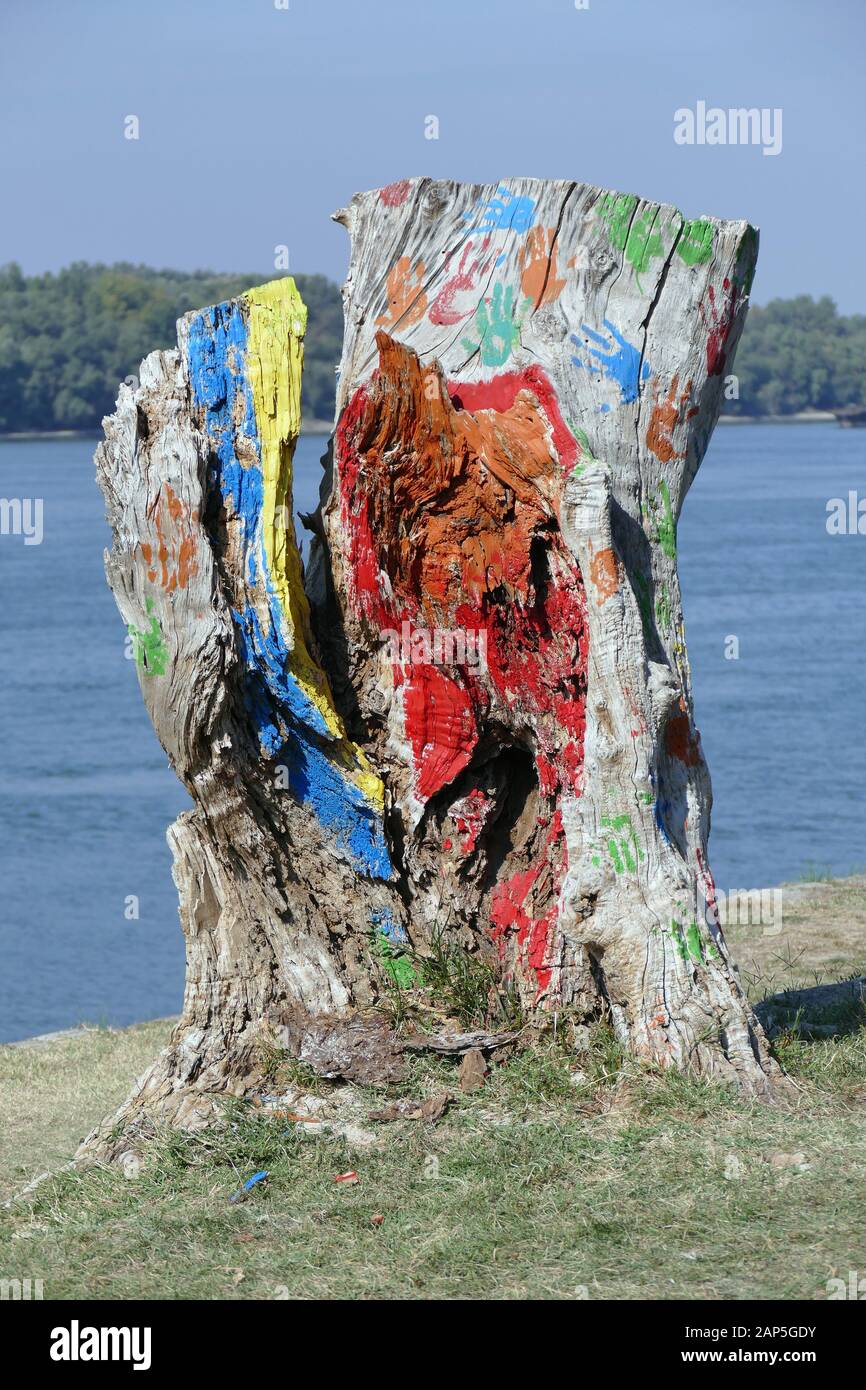 Decayed tree log hi-res stock photography and images - Alamy