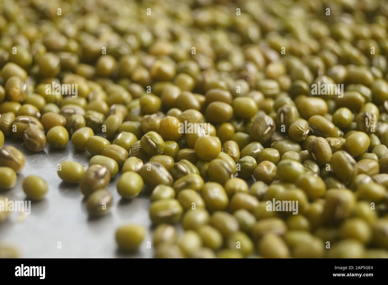 Close up of mung bean Stock Photo - Alamy