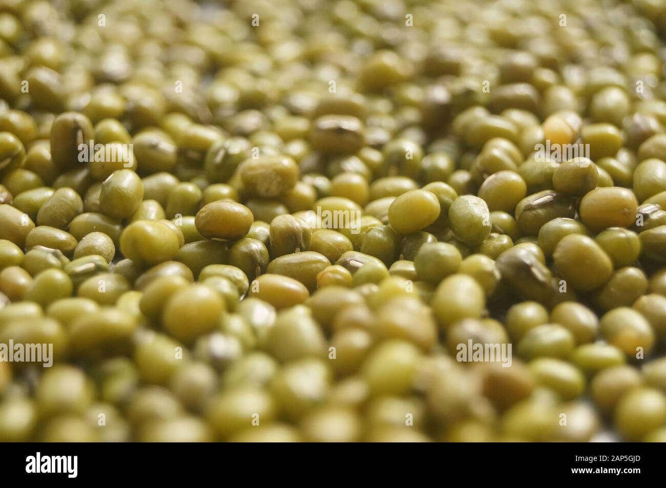 Close up of mung bean Stock Photo - Alamy