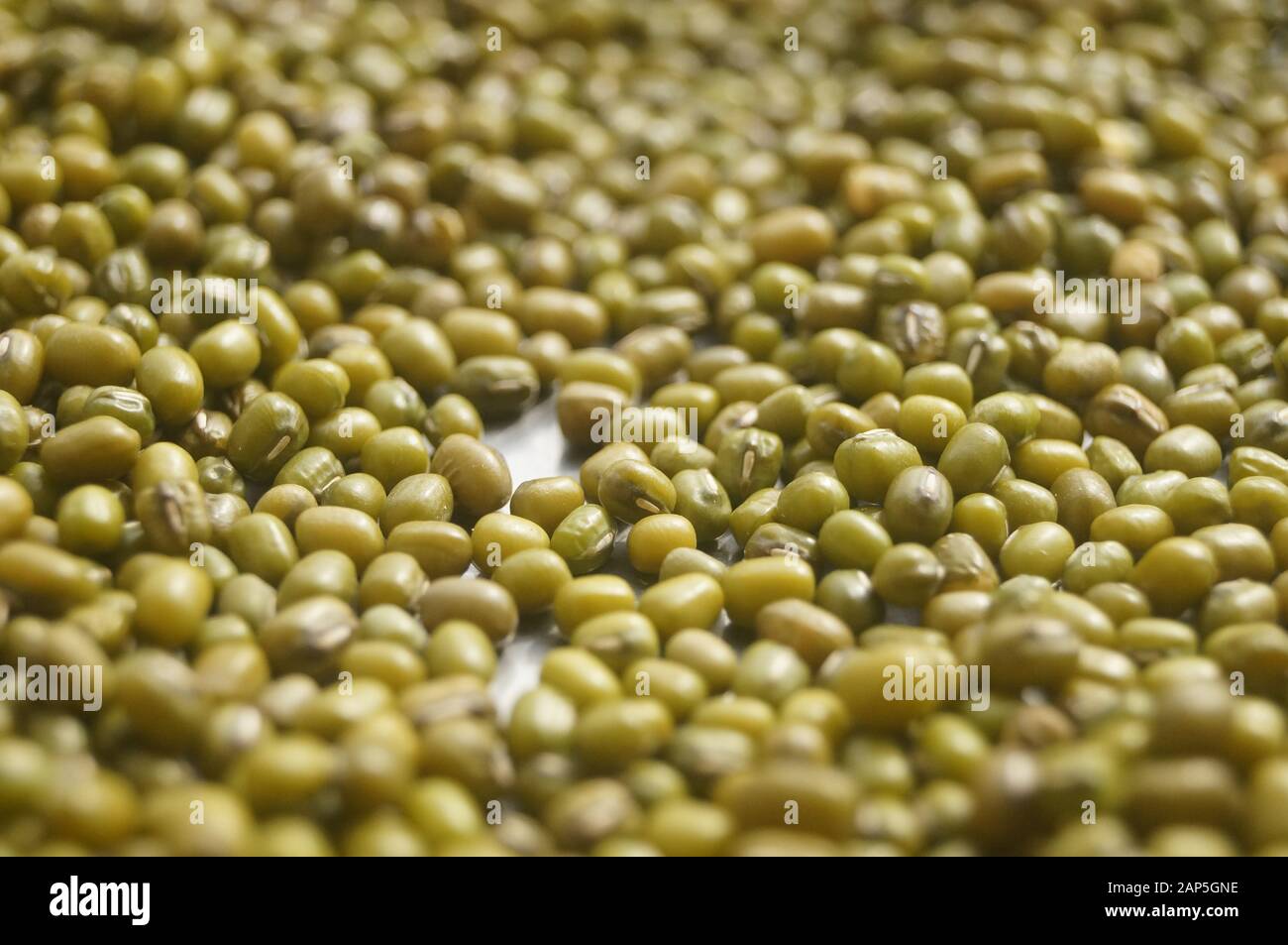 Close up of mung bean Stock Photo - Alamy