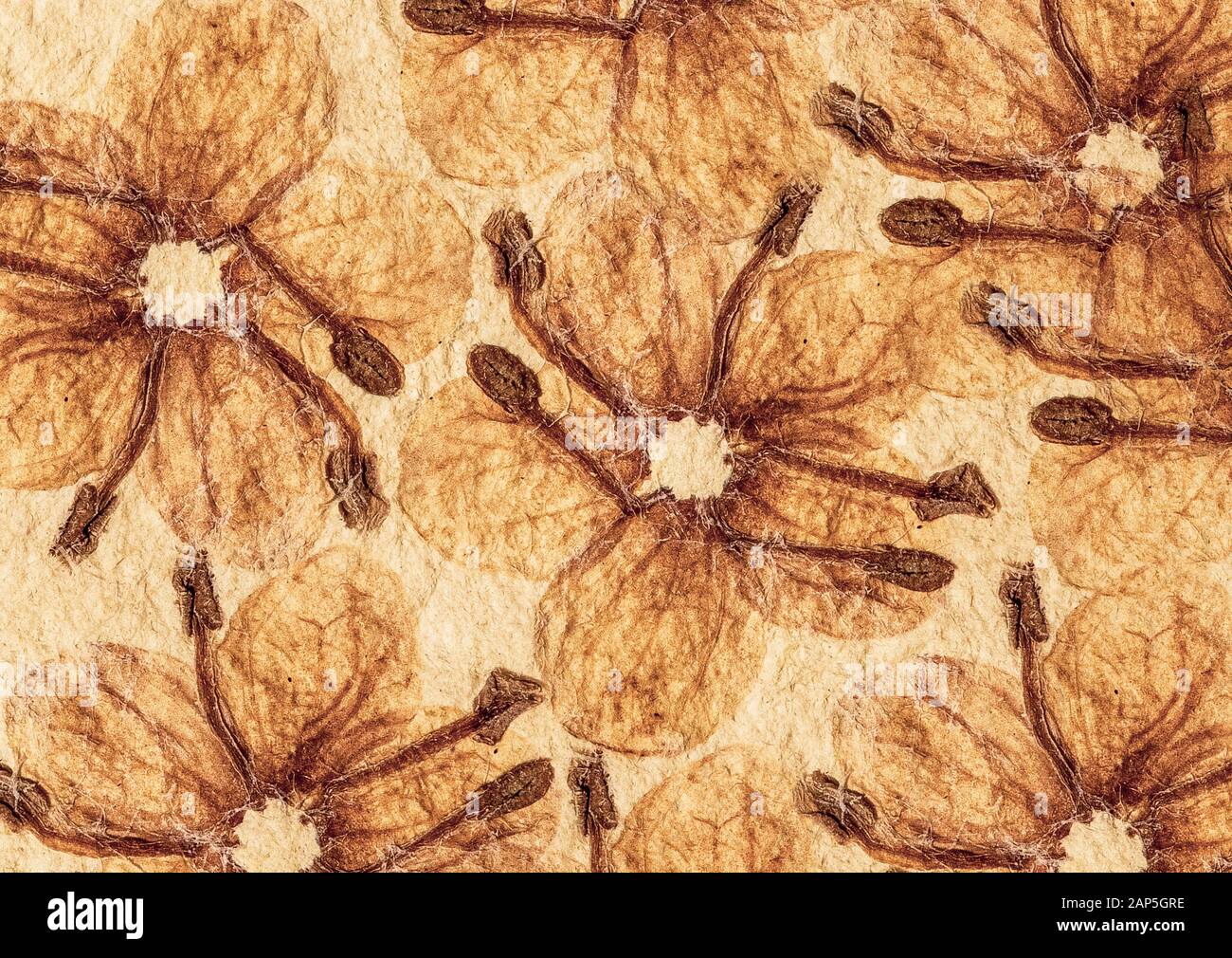 detail paper structure. Paper background whit flowers Stock Photo - Alamy