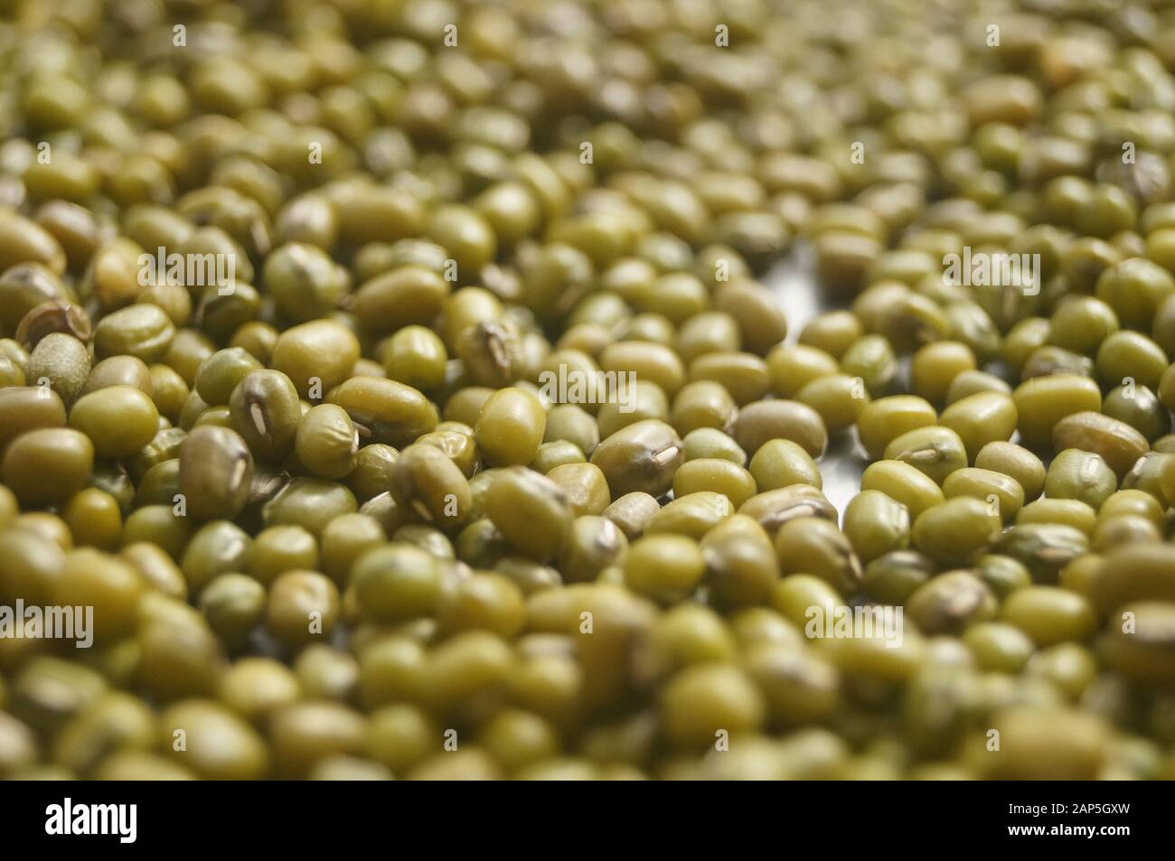 Close up of mung bean Stock Photo - Alamy