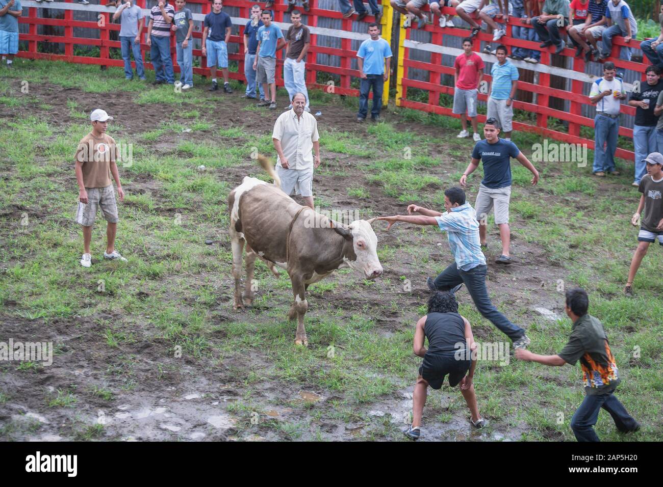 Rodeo, La Fortuna, Arenal, Costa Rica, Central America Stock Photo - Alamy