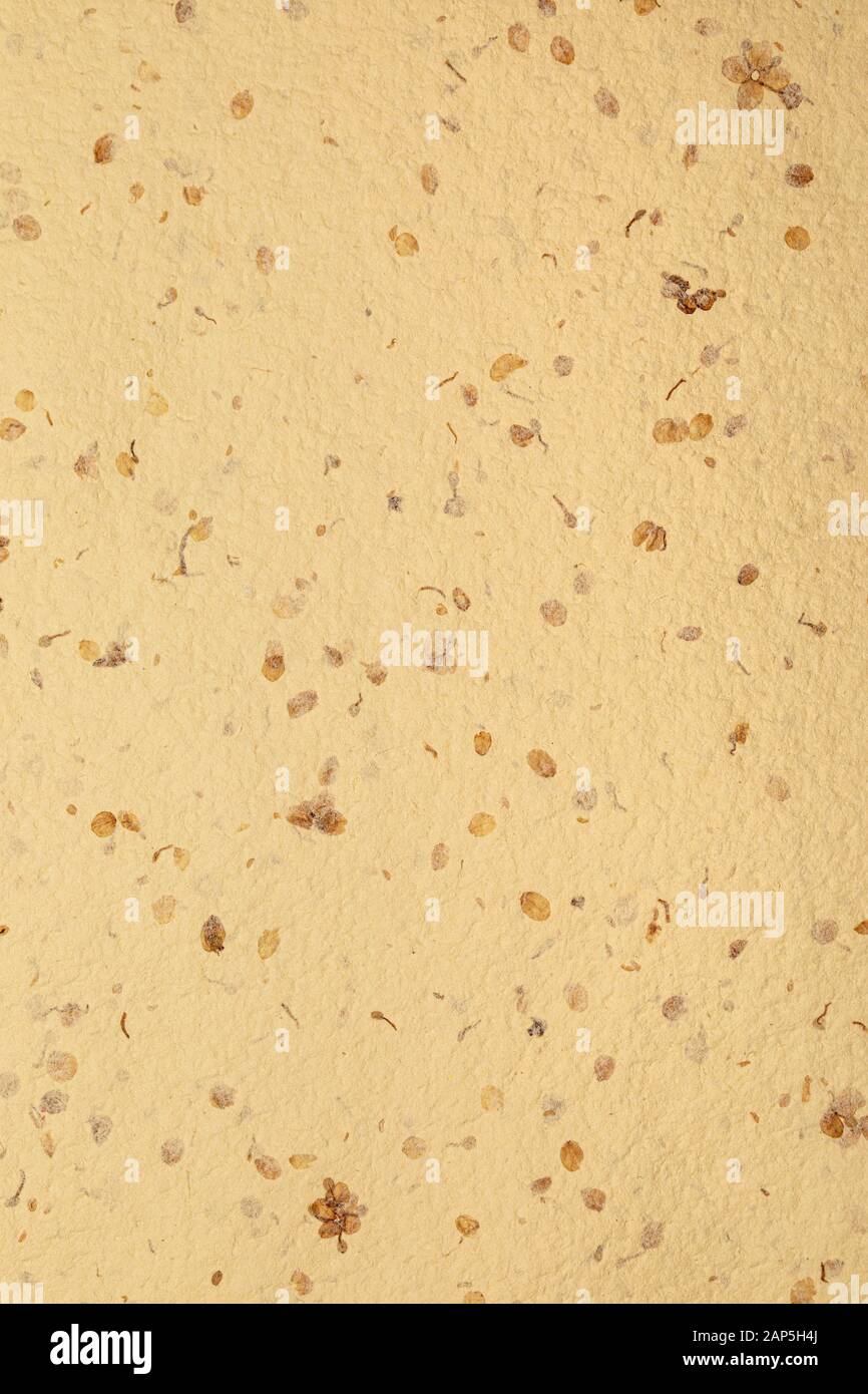 detail paper structure. Paper background whit flowers Stock Photo - Alamy