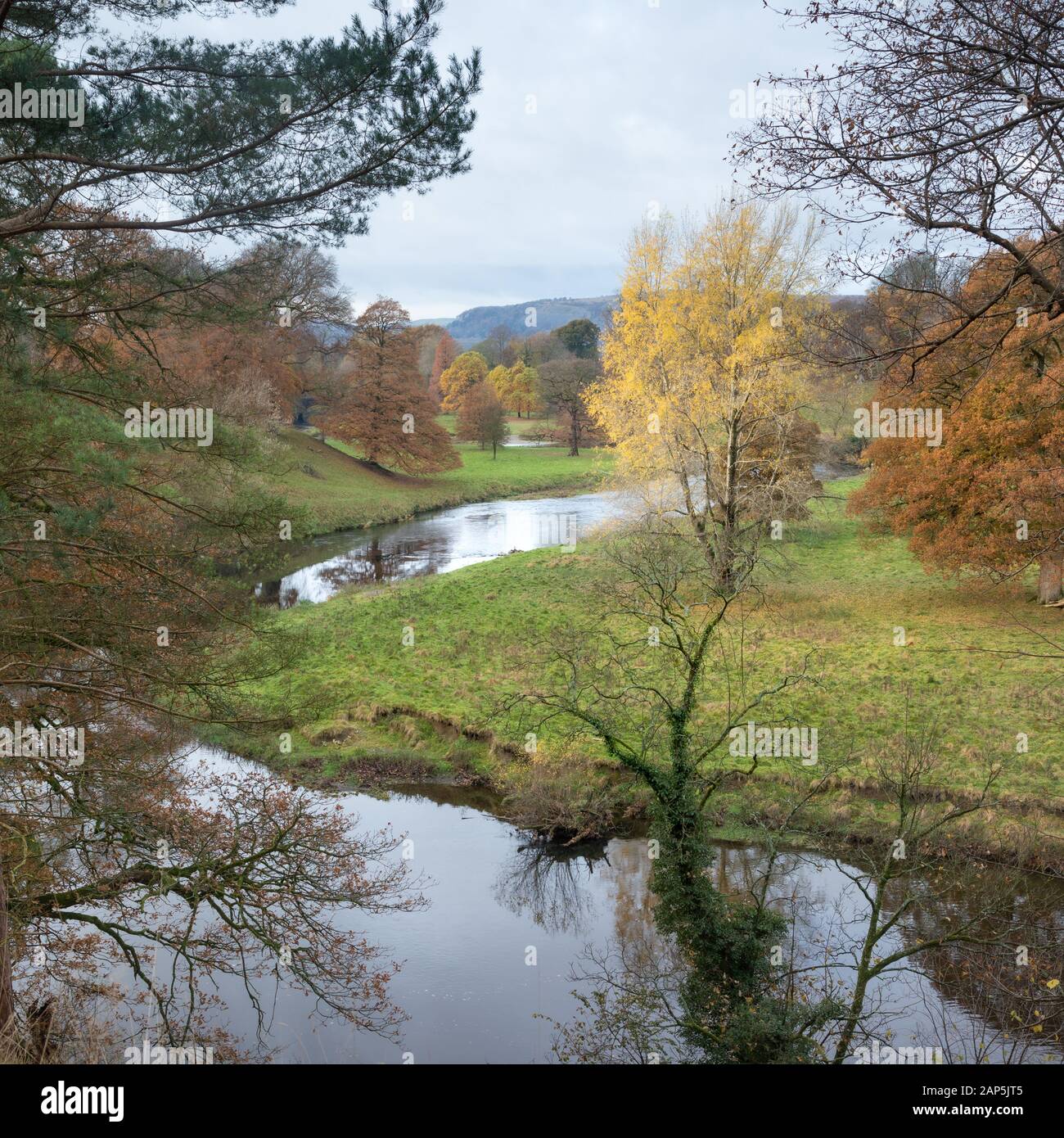 Treelined Banks of the River Leven in Levens Park, Cumbria Stock Photo ...