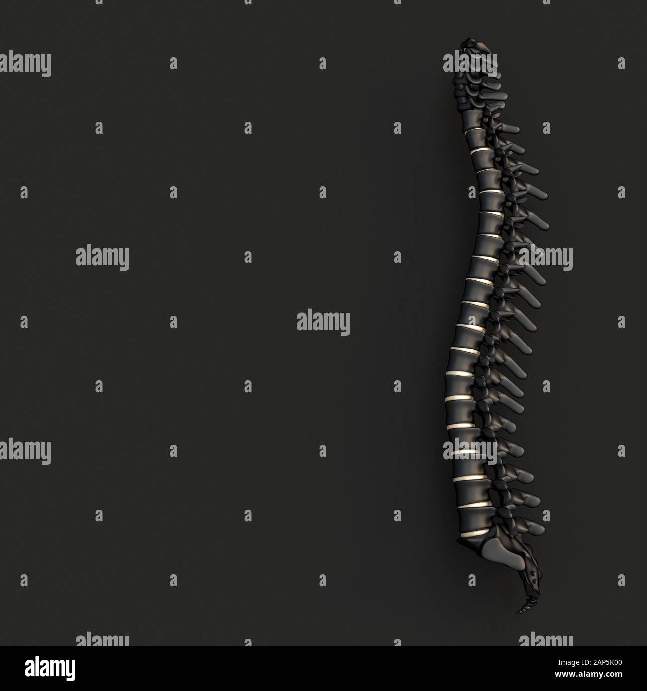 Spinal cord injury hi-res stock photography and images - Alamy