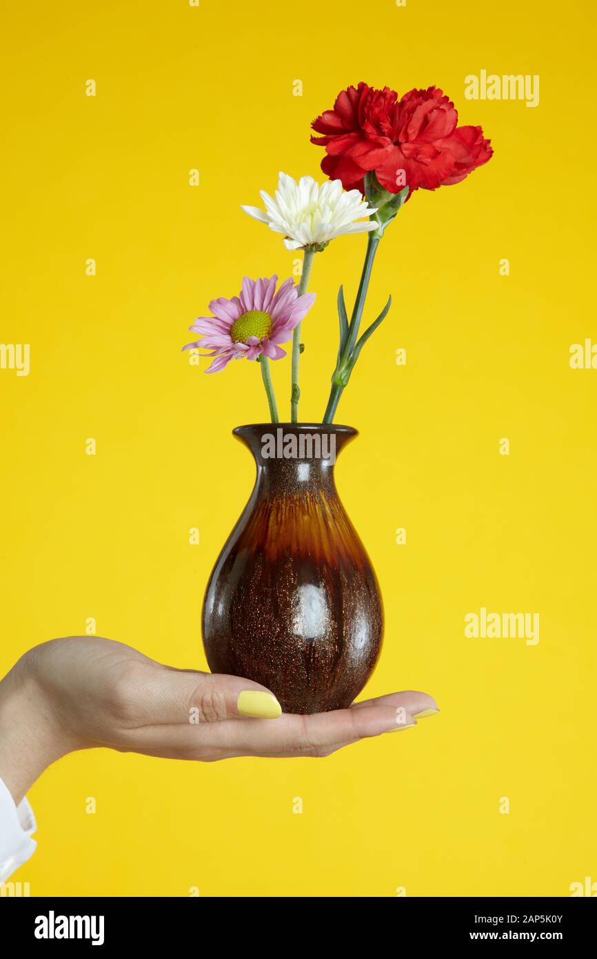 Vase of flowers hi-res stock photography and images - Alamy
