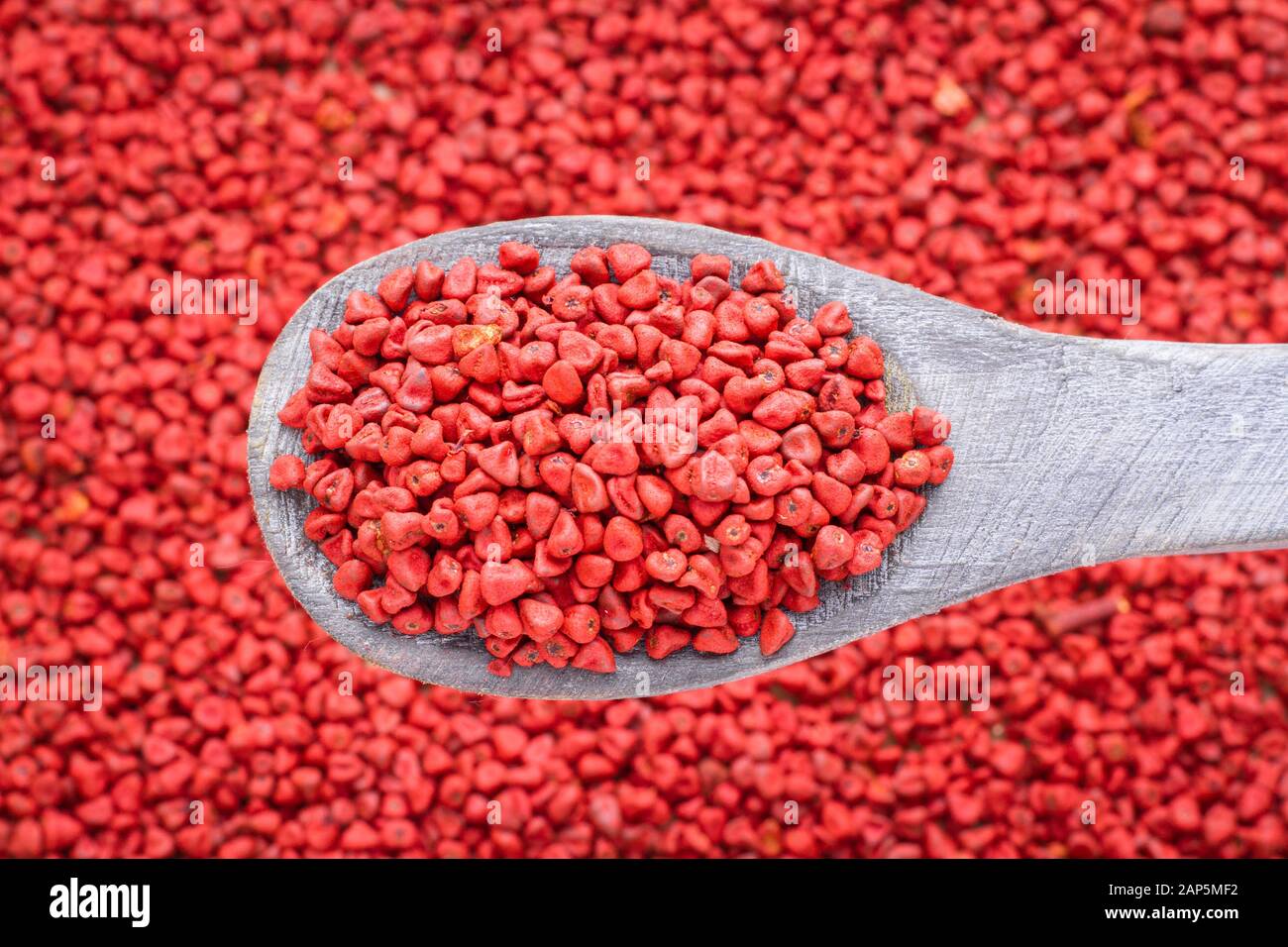 Seeds of achiote, originating from central america and parts of south ...