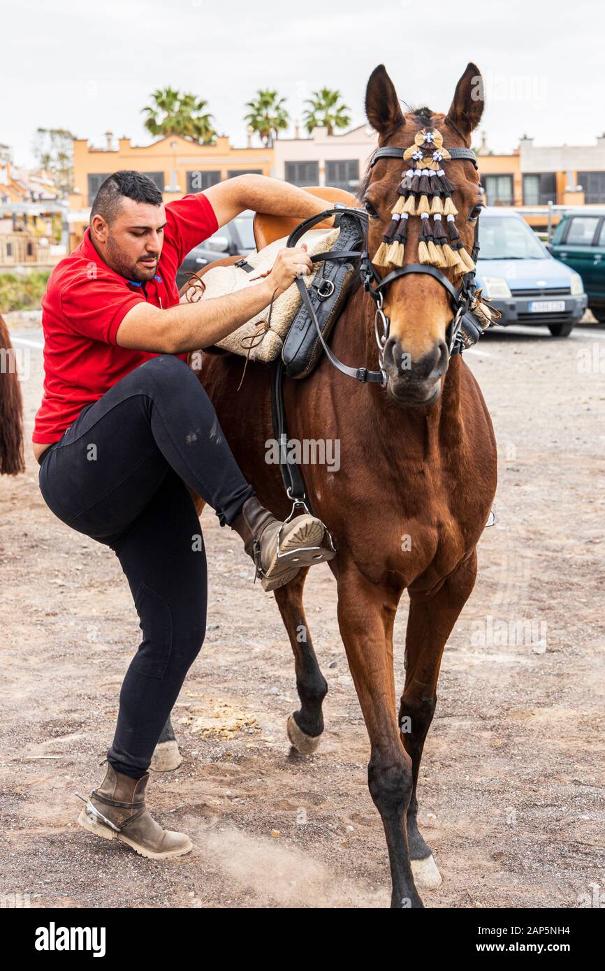 Rider mounting horse hi-res stock photography and images - Alamy
