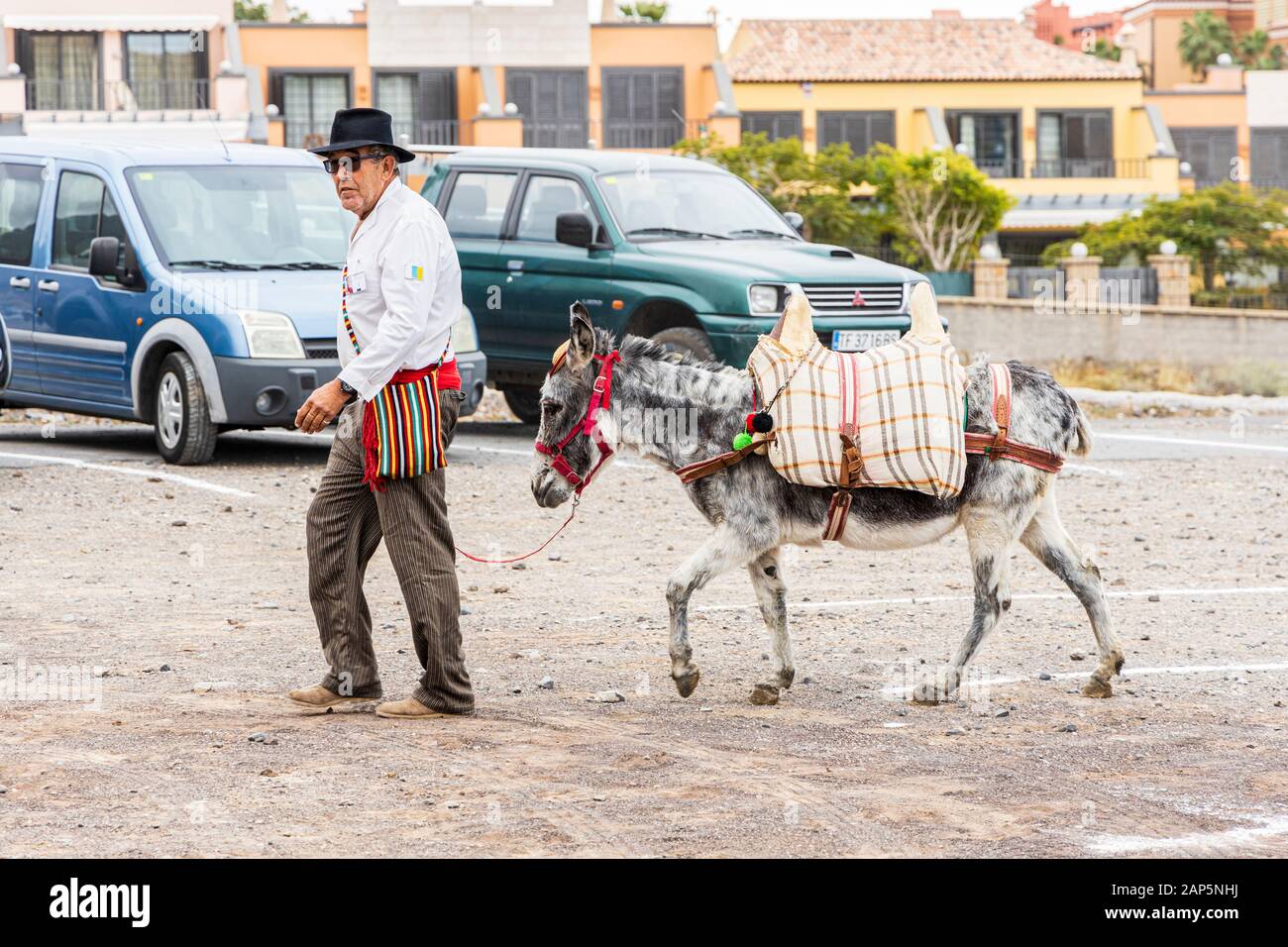 Man in traditional Canarian dress with a donkey at the San Sebastian ...