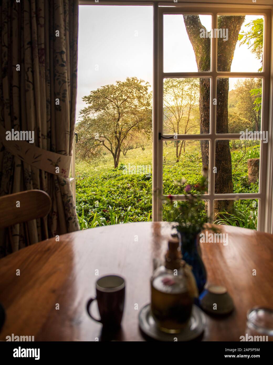 Breakfast garden views out the window during sunrise in Tanzania, East ...