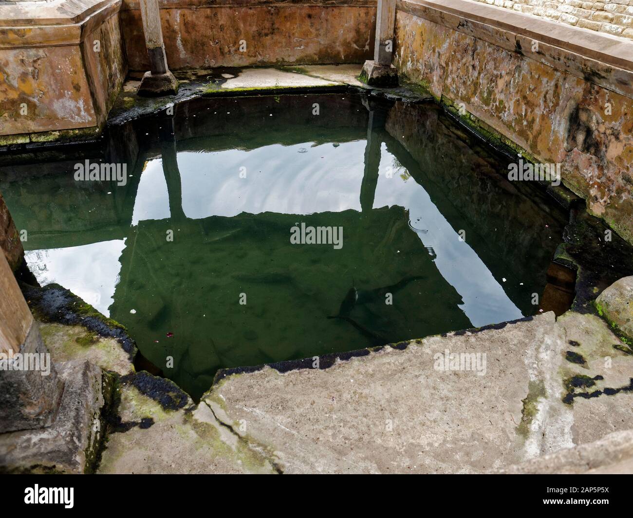 Fish pond inside the great mosque or masjid agung in kotagede ...