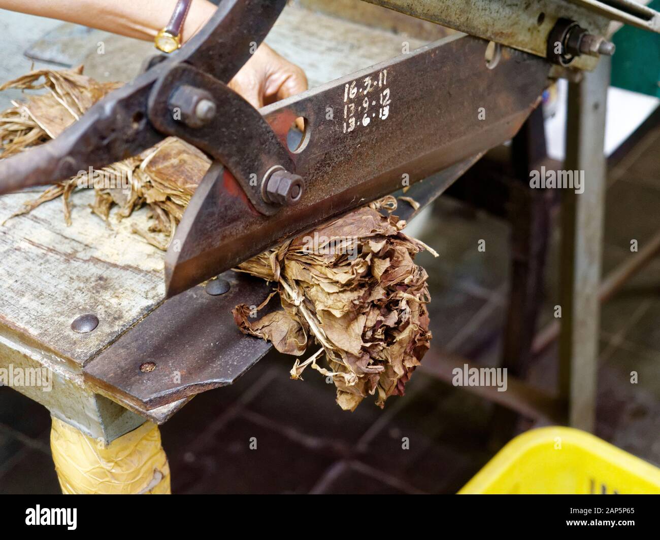 Traditional Imperium cigar factory, Yogyakarta, Jawa, Indonesia , Asia ...