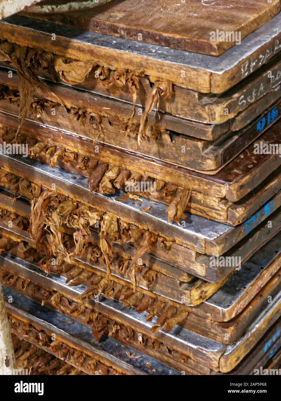 Traditional Imperium cigar factory, Yogyakarta, Jawa, Indonesia , Asia ...