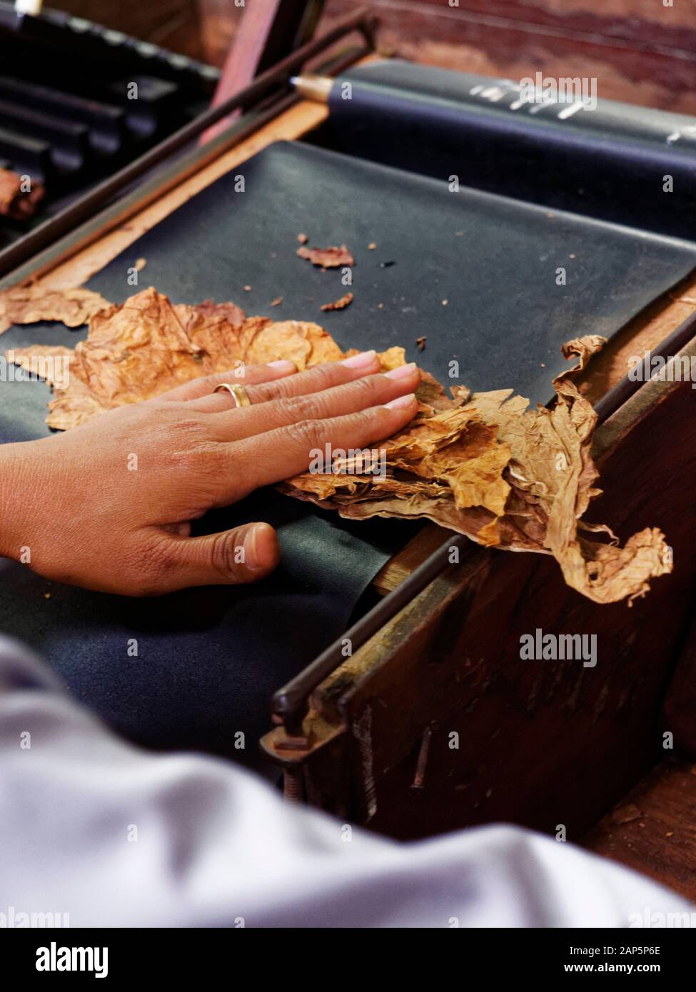 Traditional Imperium cigar factory, Yogyakarta, Jawa, Indonesia , Asia ...