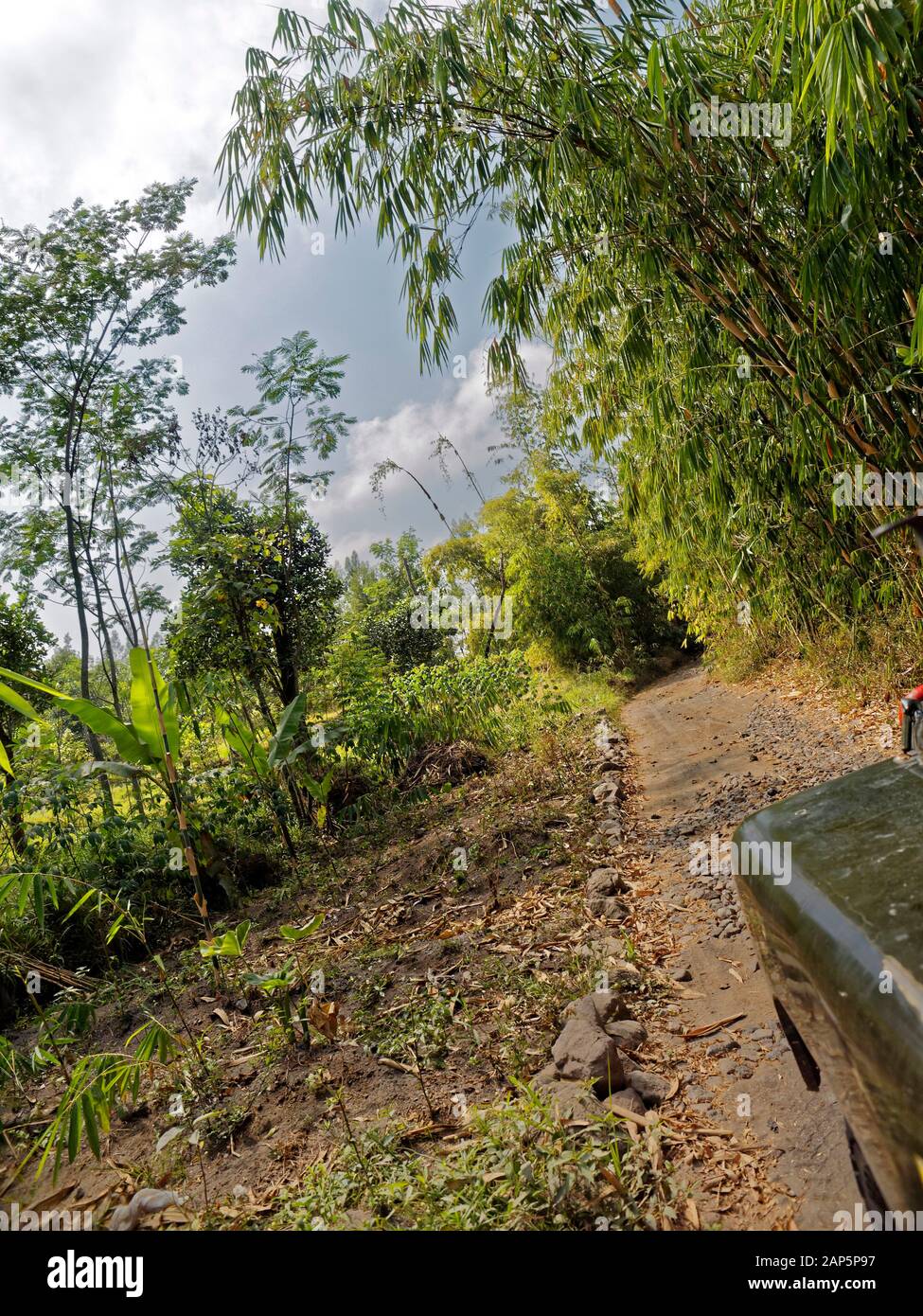 Merapi national park hi-res stock photography and images - Alamy