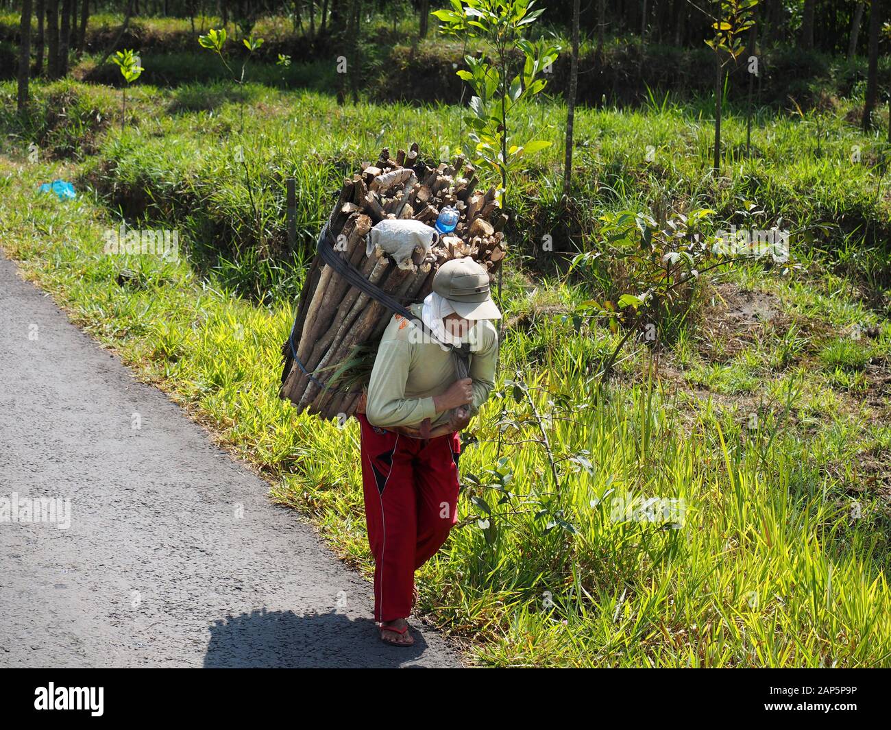Farmer who returns on foot with the harvest, Gunung Merapi, Taman ...
