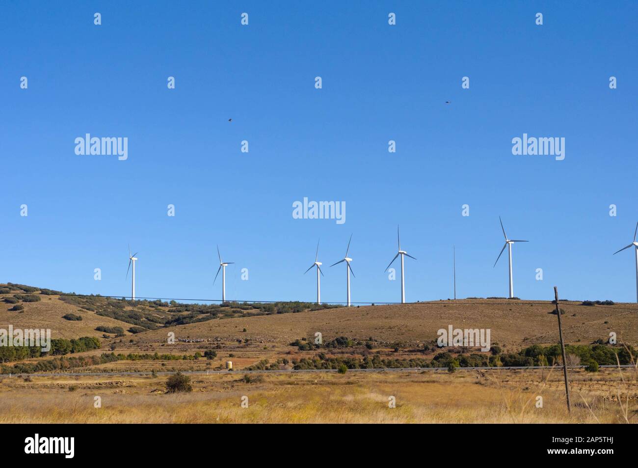 a lot of white windmills in the field to generate electricity Stock ...